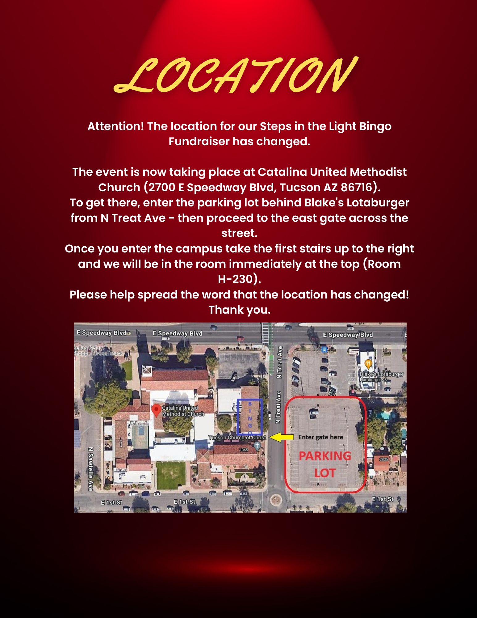 Bingo – Steps in the Light